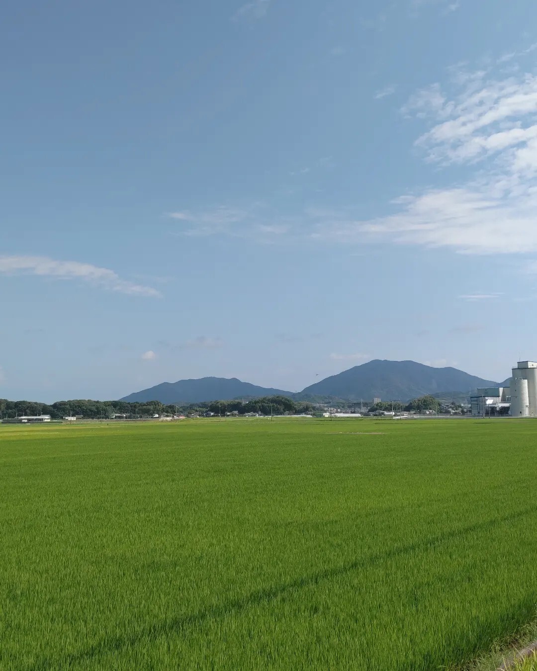 とにかく走るしかない / hiroe.takahacさんのモーメント | YAMAP / ヤマップ