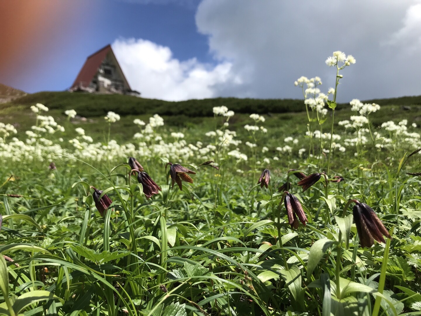 先日、去年と同じ日に乗鞍へ 雷鳥目的と... / tontonさんのモーメント | YAMAP / ヤマップ
