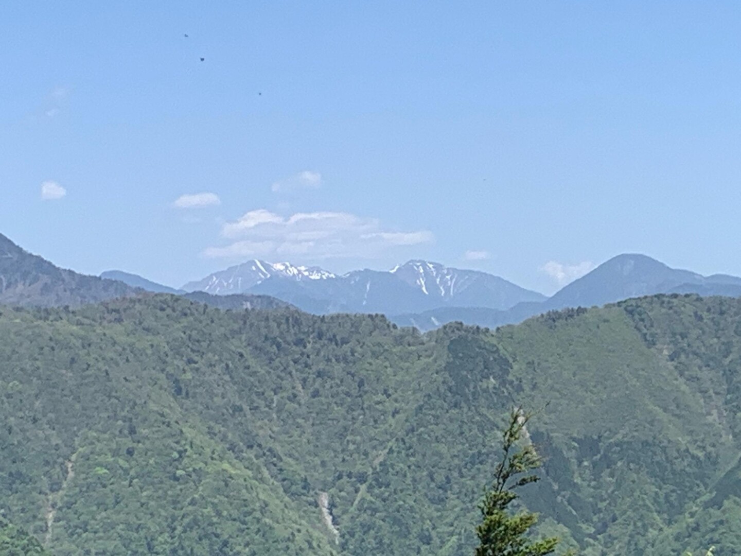 大札山 / ma-tinさんの大札山・三星山・白羽山の活動データ | YAMAP / ヤマップ