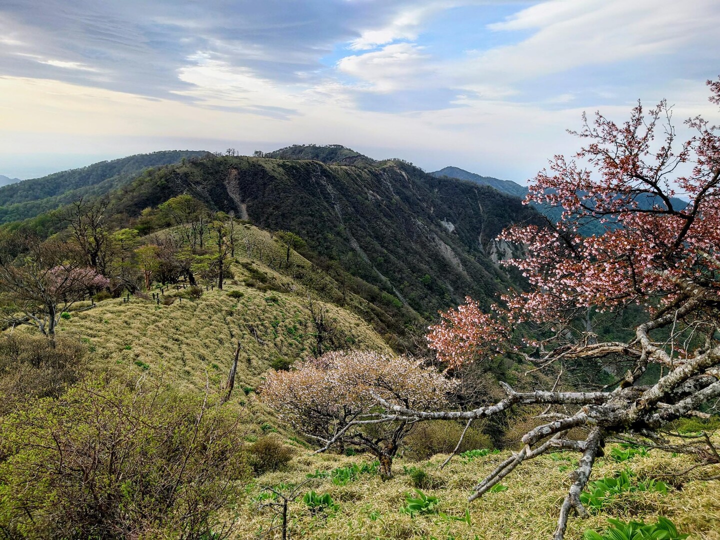蛭ヶ岳山行記 〜蛭ヶ岳からの脱出〜 / Kawaharaさんの塔ノ岳・丹沢山・蛭ヶ岳の活動データ | YAMAP / ヤマップ