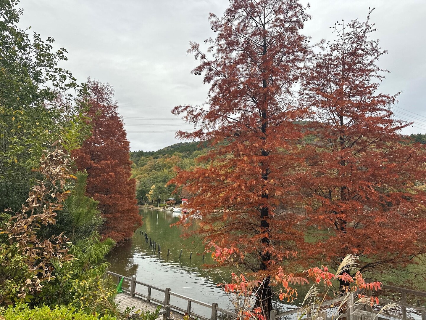 大谷山・弥勒山・道樹山 / うえったさんの春日井三山・弥勒山・大谷山・道樹山の活動データ | YAMAP / ヤマップ