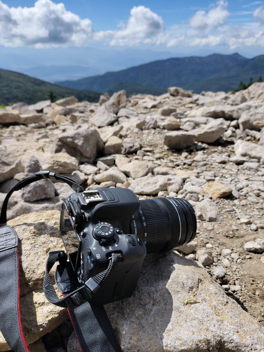 めぐさんのページ | YAMAP / ヤマップ