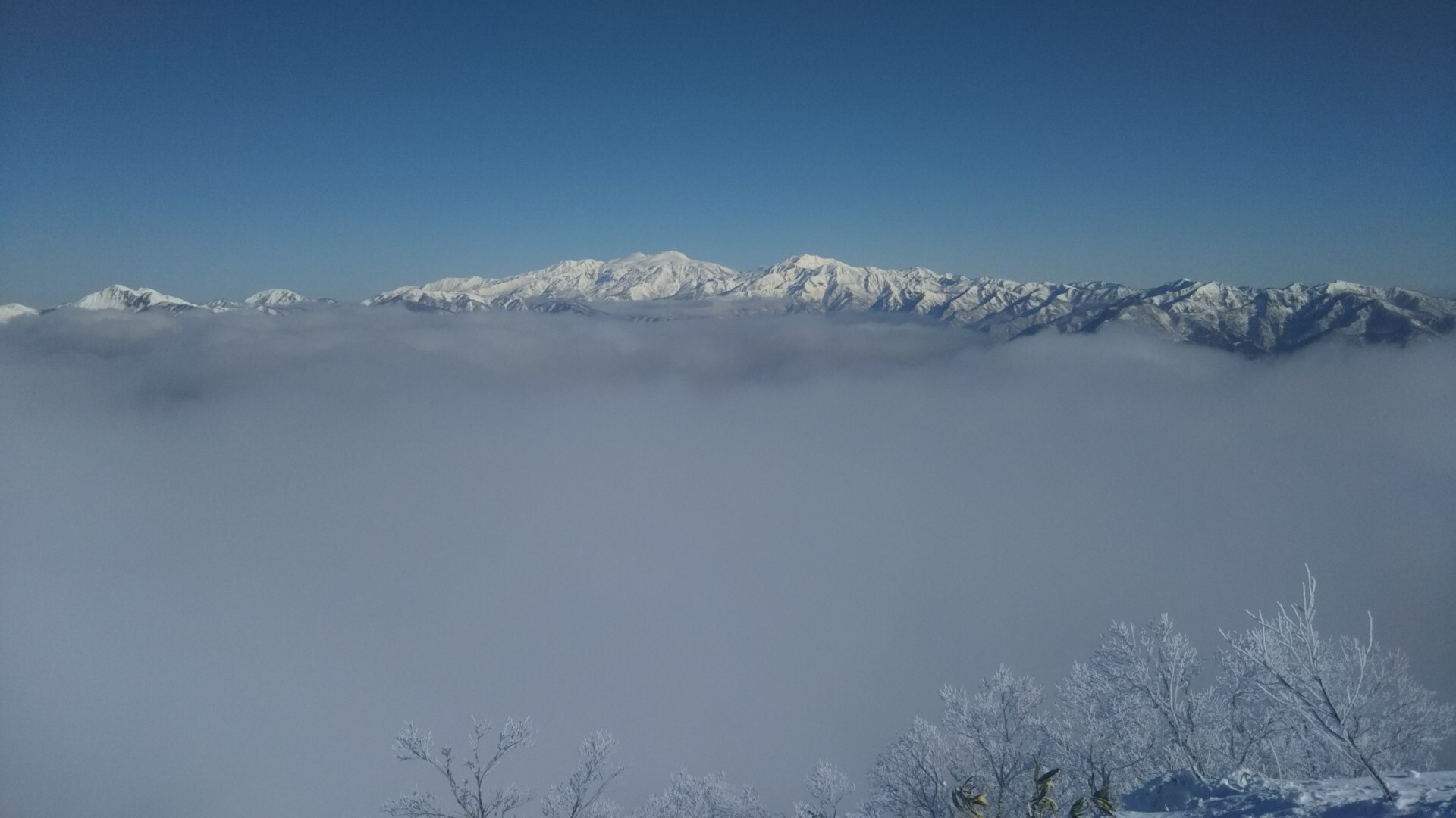 2019.1.13 荒島岳 / akmt.tttさんの荒島岳の活動データ | YAMAP / ヤマップ