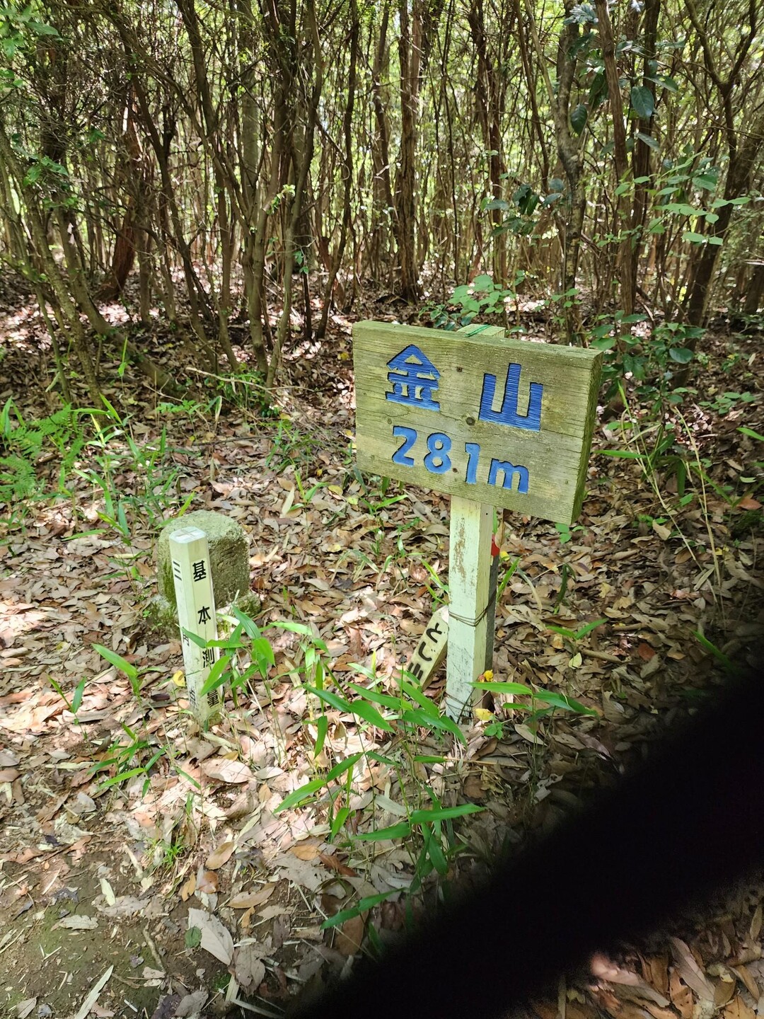 金山・常山・笠山 / mtc0190さんの城山・郷師山の活動データ | YAMAP / ヤマップ