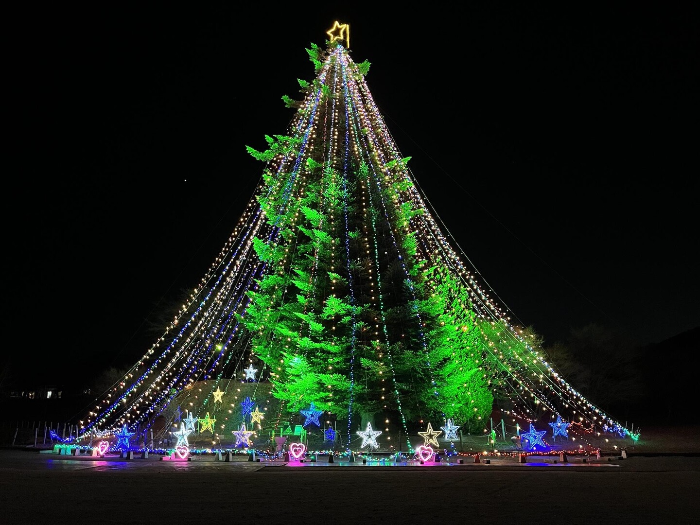 カッパドキアで見たいと思っていたら、 何... / opioさんのモーメント | YAMAP / ヤマップ