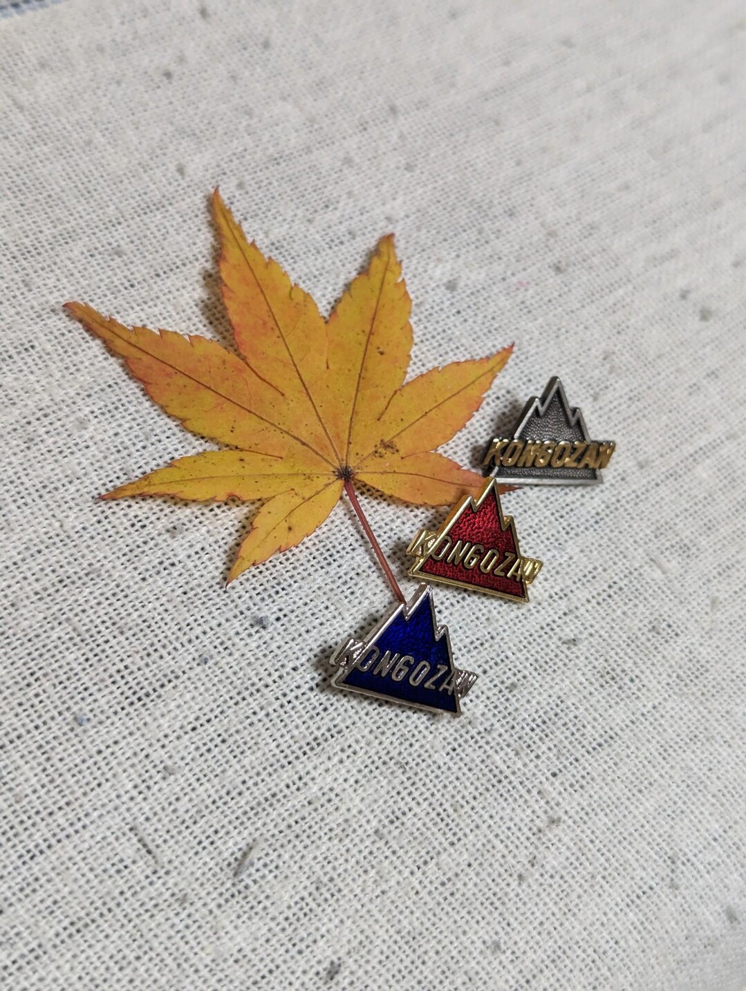 金剛山10回目の銀バッチGET / kokeさんの金剛山・二上山・大和葛城山の活動データ | YAMAP / ヤマップ