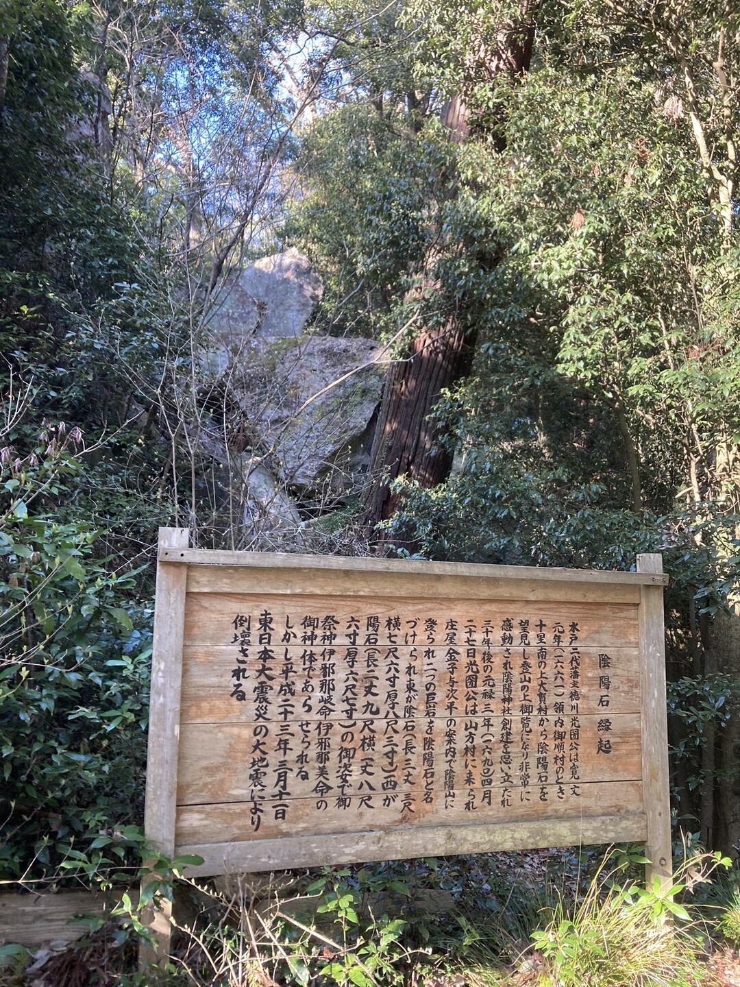 先日用事の合間に陰陽山ウォーキング^ -... / オタチさんのモーメント | YAMAP / ヤマップ