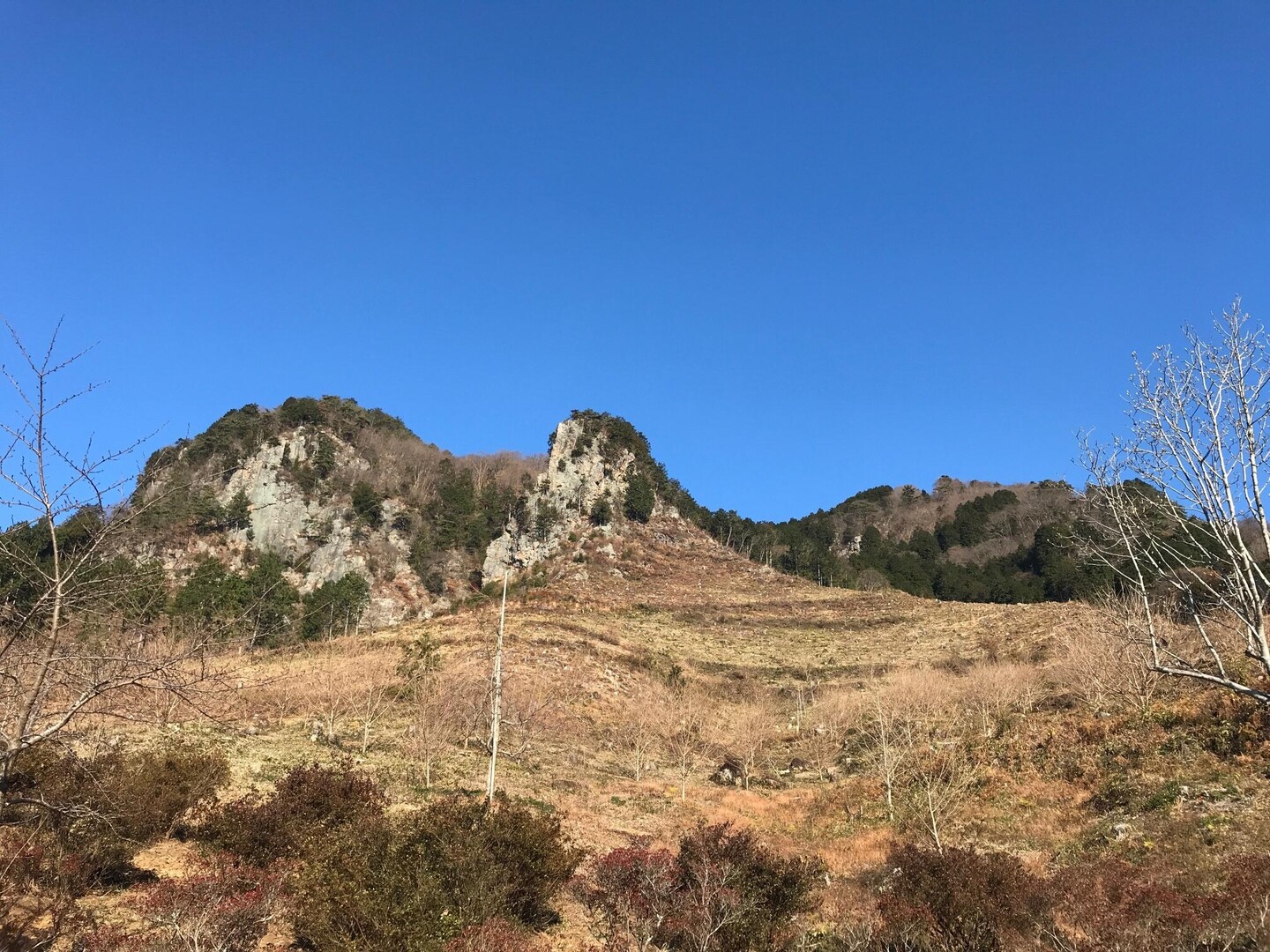 坊主山 / midoriさんの古賀志山・赤岩山・鞍掛山・男抱山・半蔵山の活動データ | YAMAP / ヤマップ