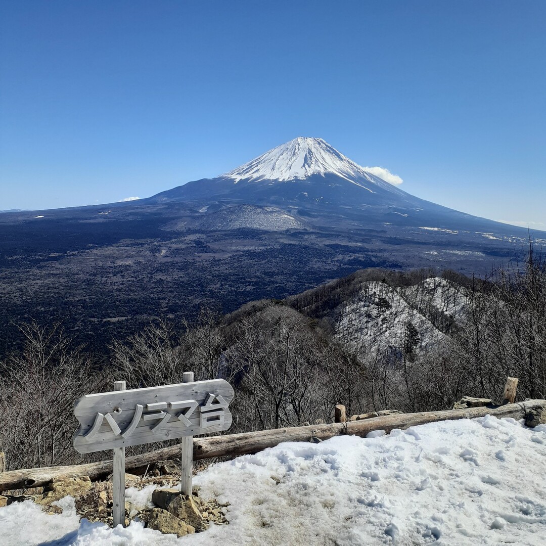 パノラマ台富嶽三十六景🗻 36の2 いわちゃんさんの三方分山・パノラマ台の活動データ Yamap ヤマップ 