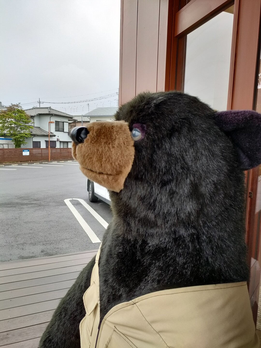 戻り梅雨だベアー。 / hirokyuuさんのモーメント | YAMAP / ヤマップ