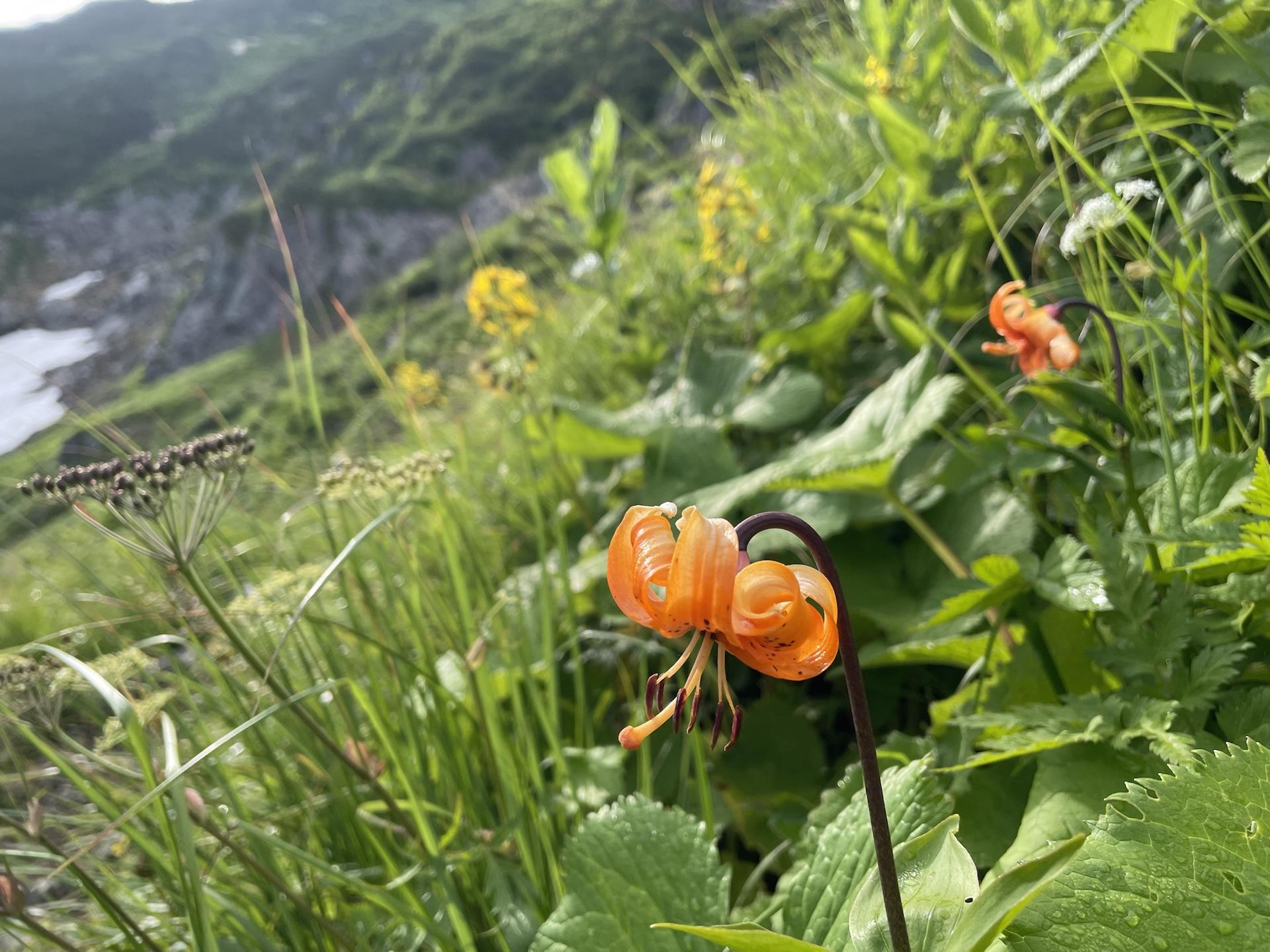 剱岳 / kuwaさんの立山・雄山・浄土山の活動データ | YAMAP / ヤマップ