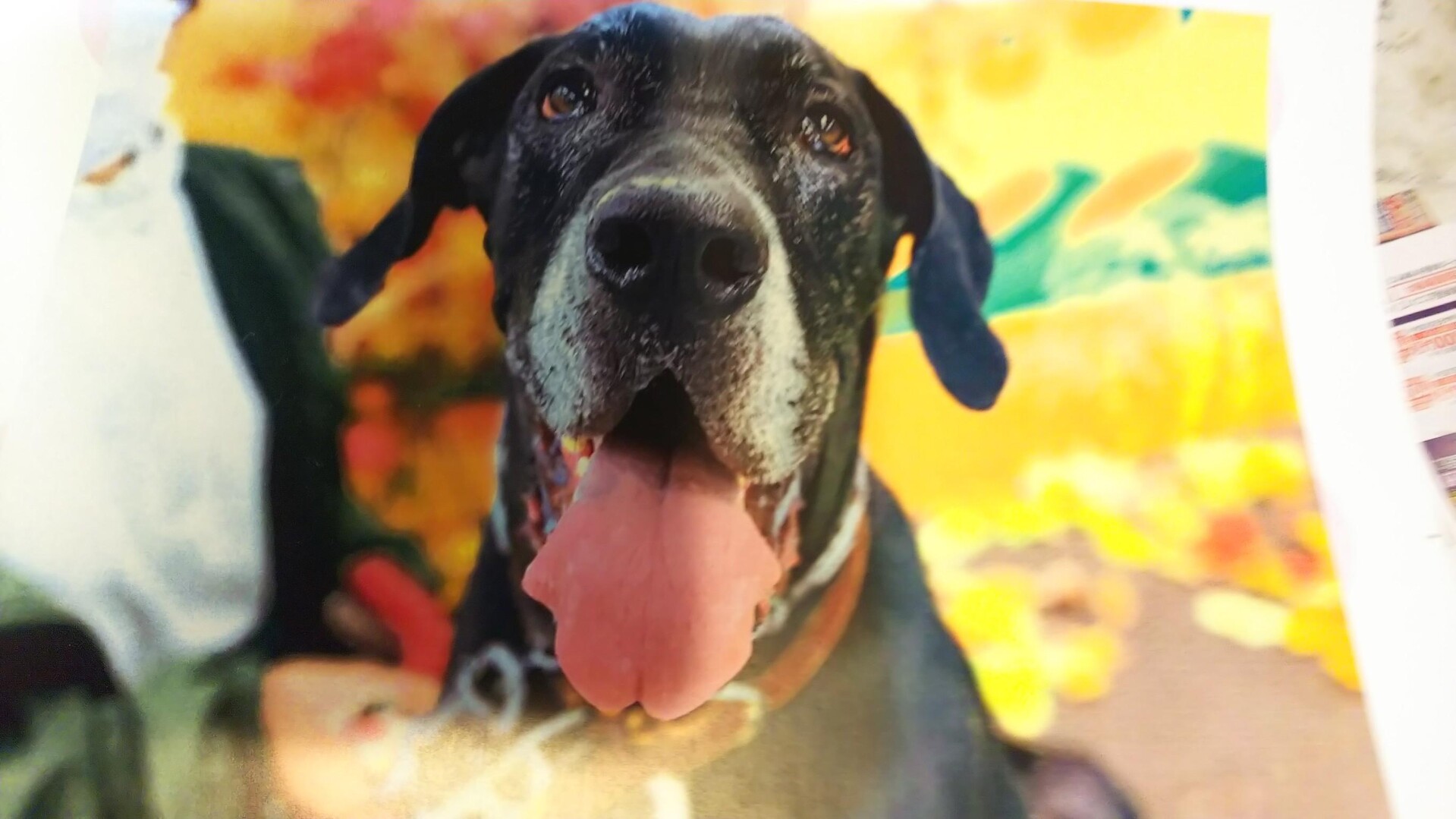 てるりんのページ | YAMAP / ヤマップ