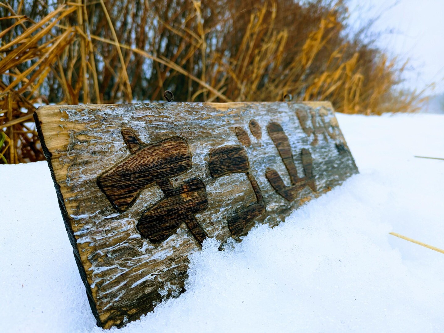 たまにはフラッと気分転換 雪少なすぎ ご近所キゴ山 / やすsanさんの医王山・白兀山・箱屋谷山の活動データ | YAMAP / ヤマップ