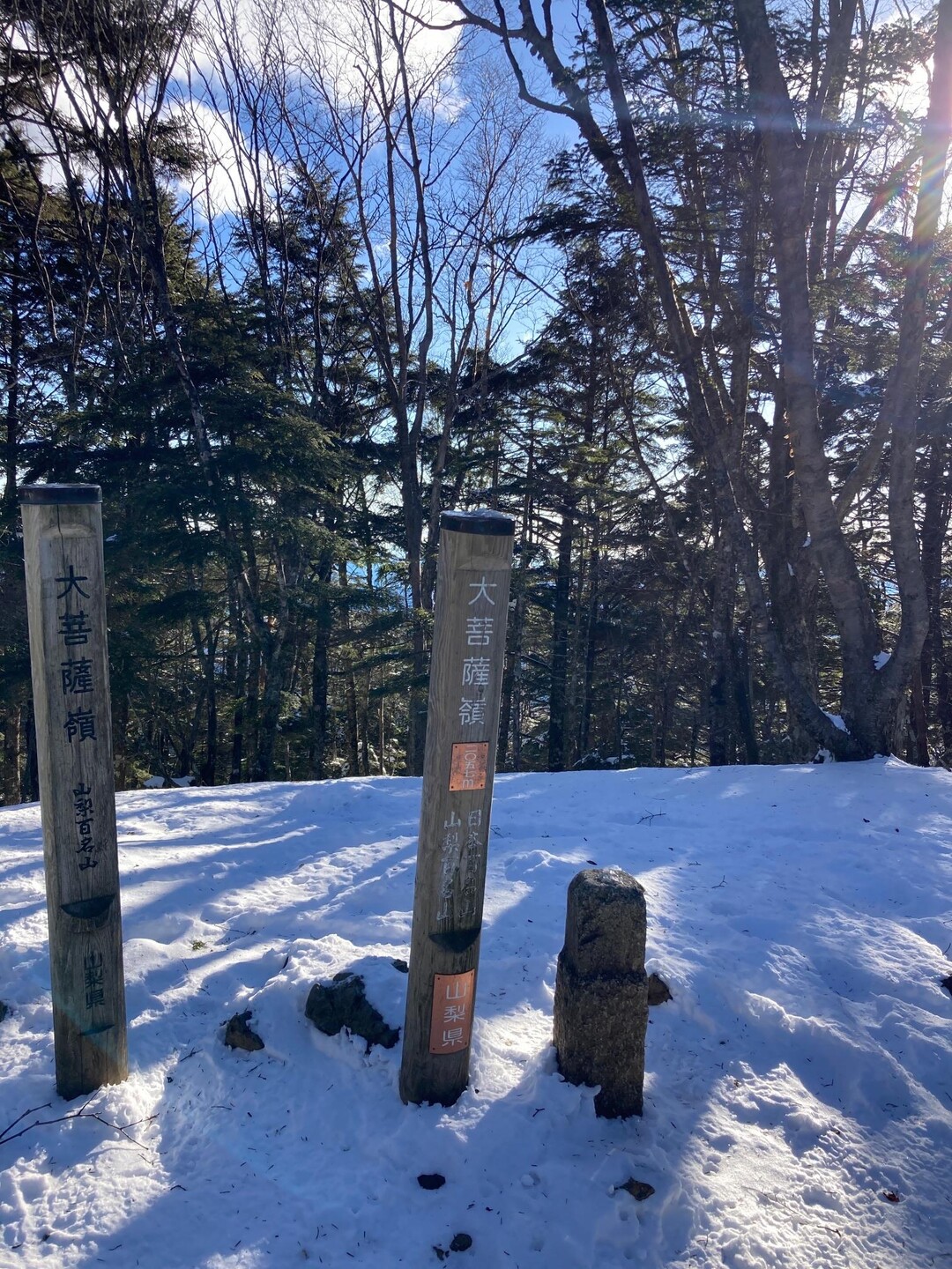 大菩薩嶺・親不知ノ頭 / explorerさんの大菩薩嶺・鶏冠山・大マテイ山の活動日記 | YAMAP / ヤマップ