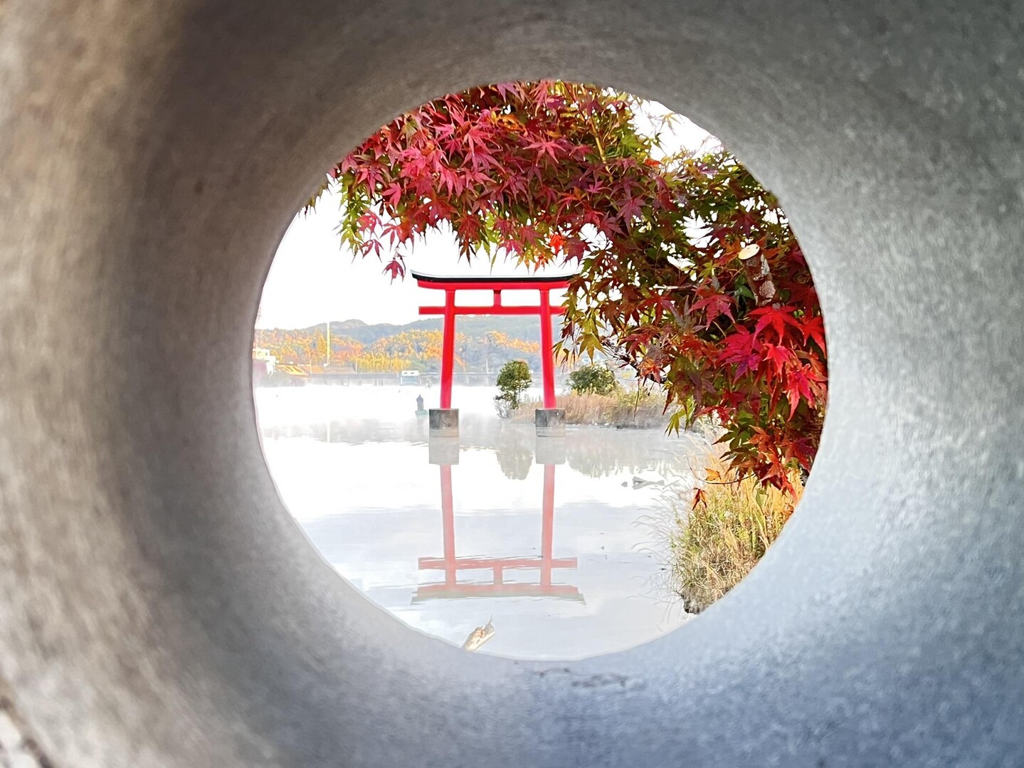 三石山と亀山湖🍁 / NBさんの元清澄山・三石山の活動データ | YAMAP / ヤマップ