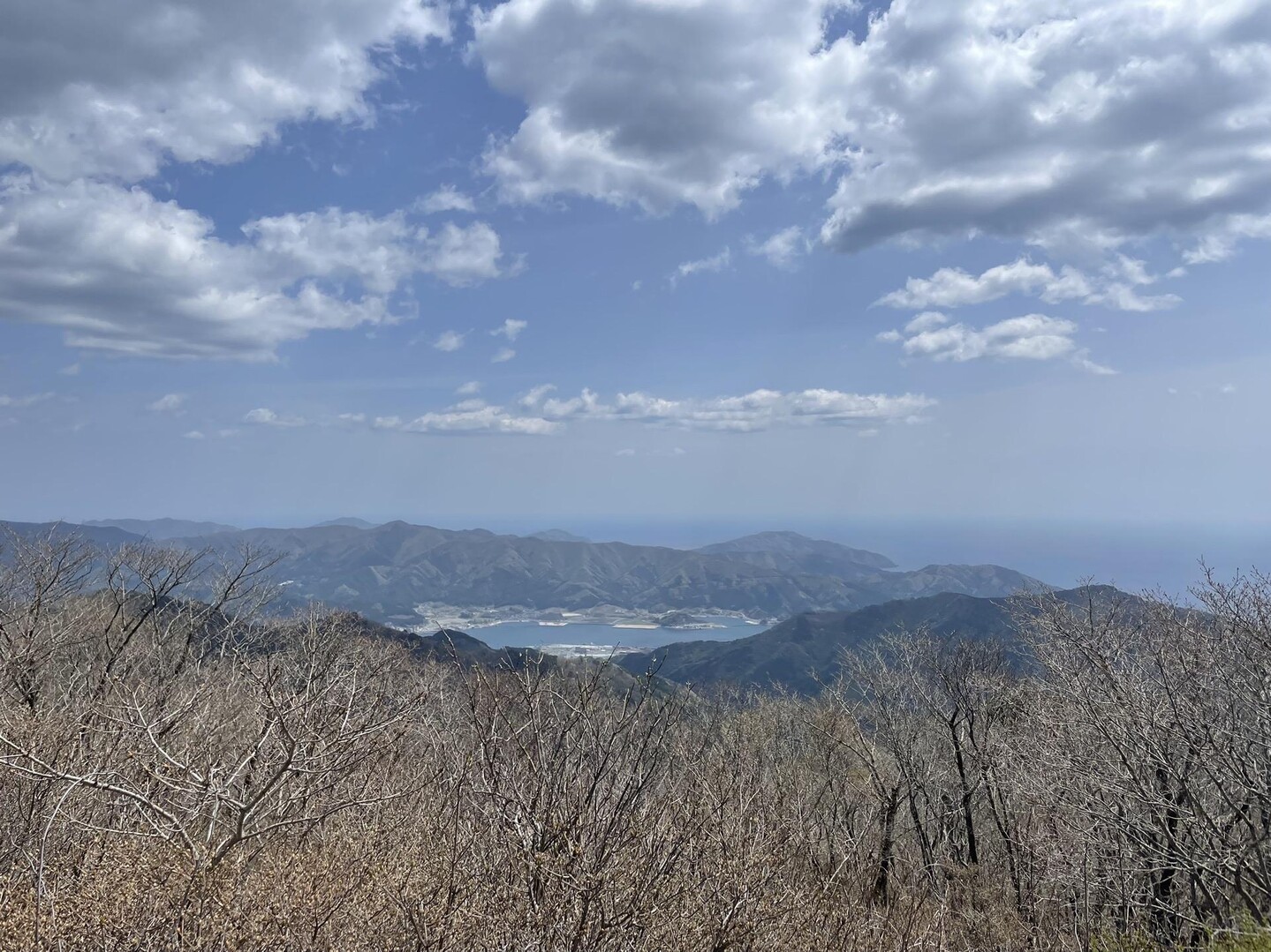 氷上山 / neroさんの氷上山の活動データ | YAMAP / ヤマップ