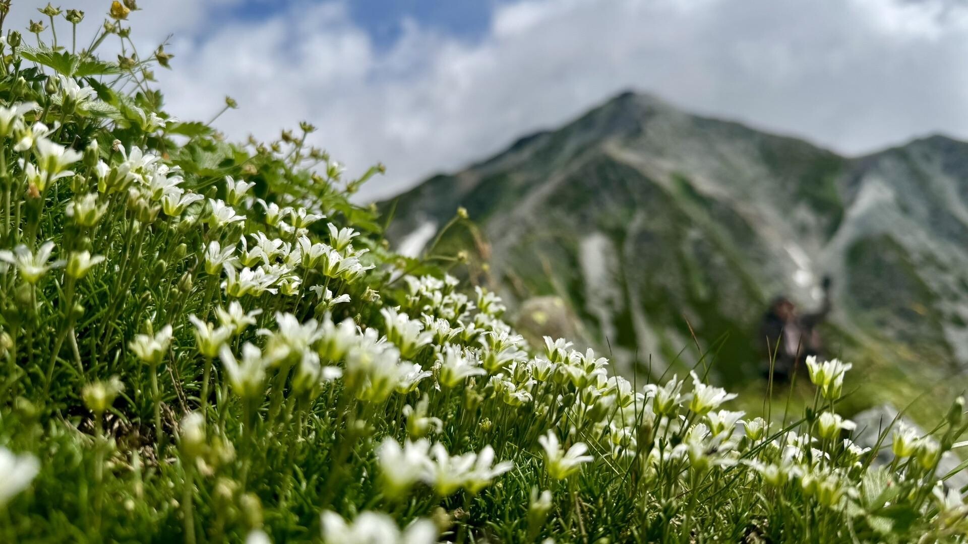 浄土山・龍王岳 / OSAMAさんの立山・雄山・浄土山の活動データ | YAMAP / ヤマップ