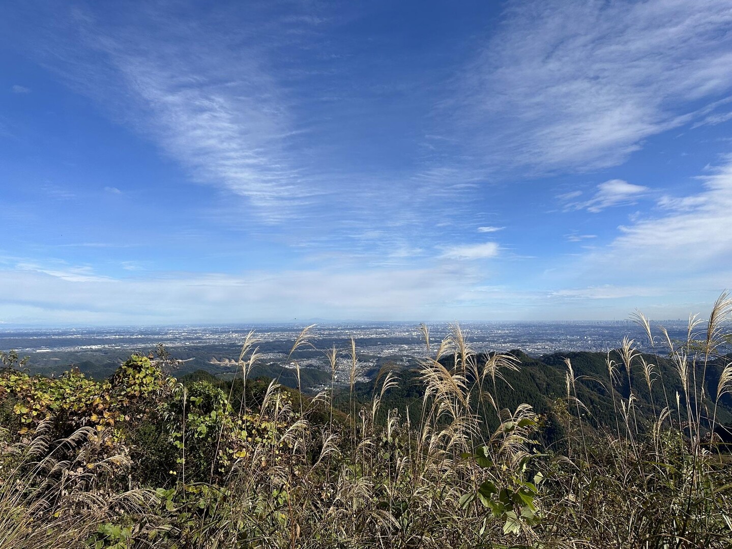 高尾山・陣馬山 縦走27.1km / つぶあんさんの高尾山・陣馬山・景信山の活動データ | YAMAP / ヤマップ