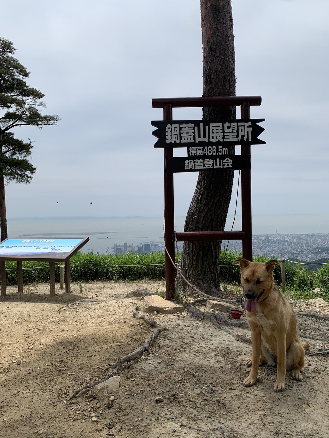 愛犬と🐕鍋蓋山 / ami nakaさんの六甲山・長峰山・摩耶山の活動データ | YAMAP / ヤマップ