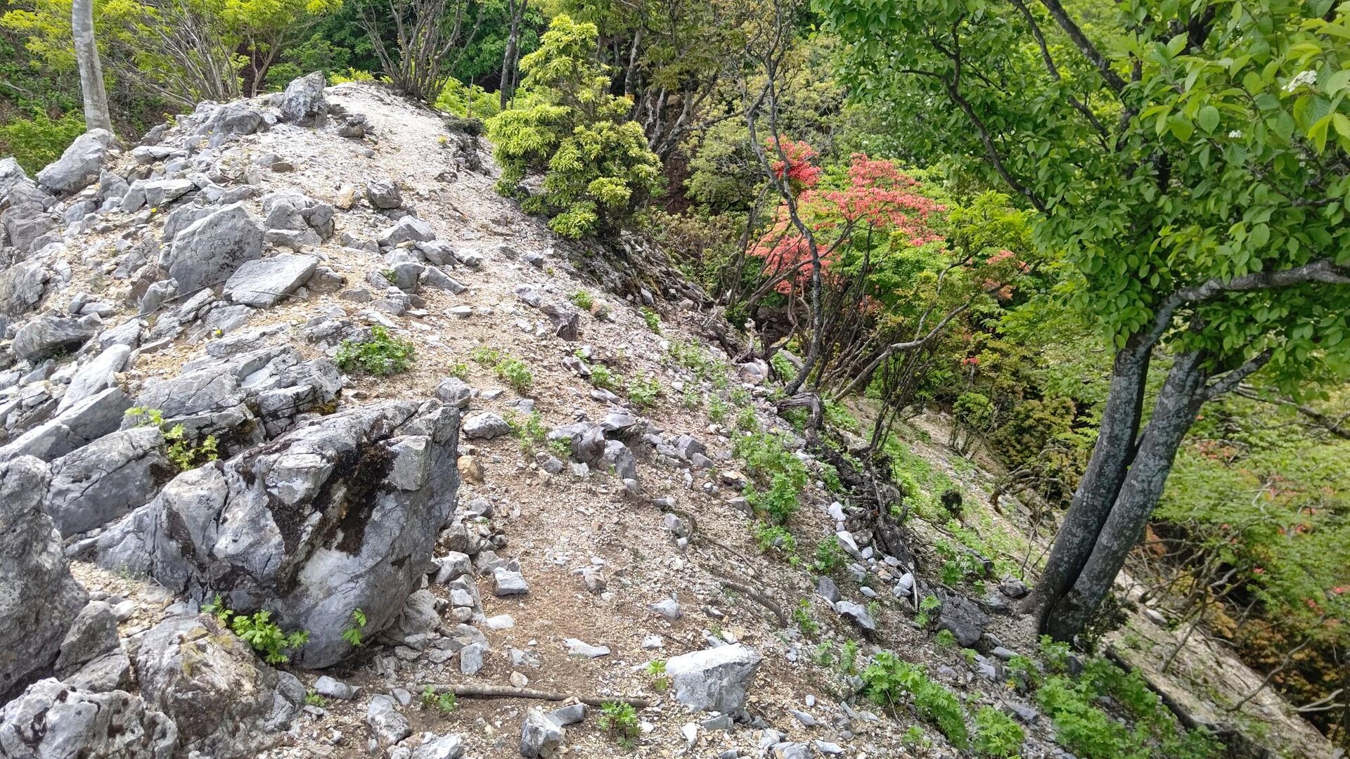 ypkunさんの投稿したフィールドメモ | YAMAP / ヤマップ