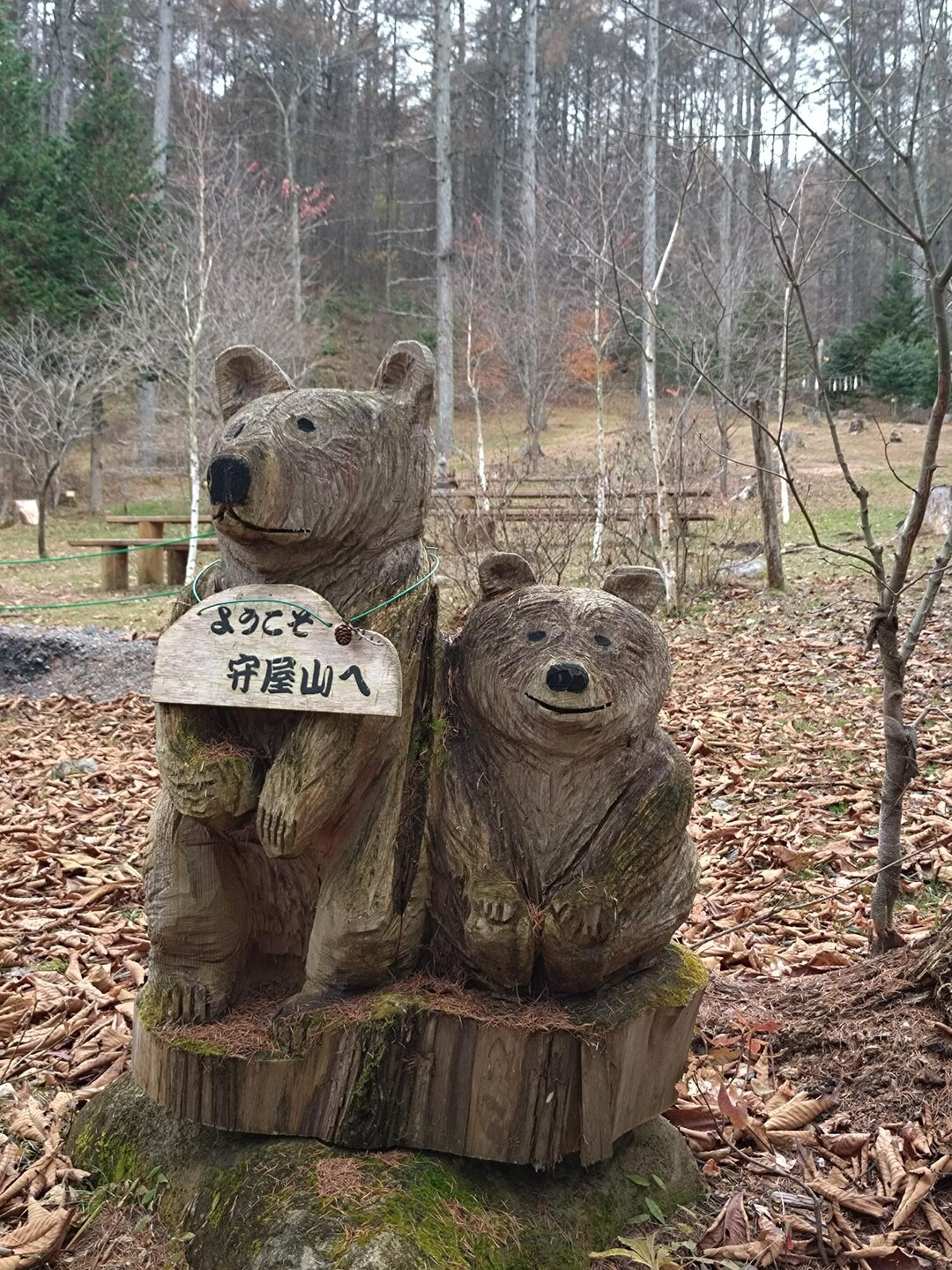 お山歩⛰️守屋山 / ☆madoka☆さんの守屋山の活動データ | YAMAP / ヤマップ