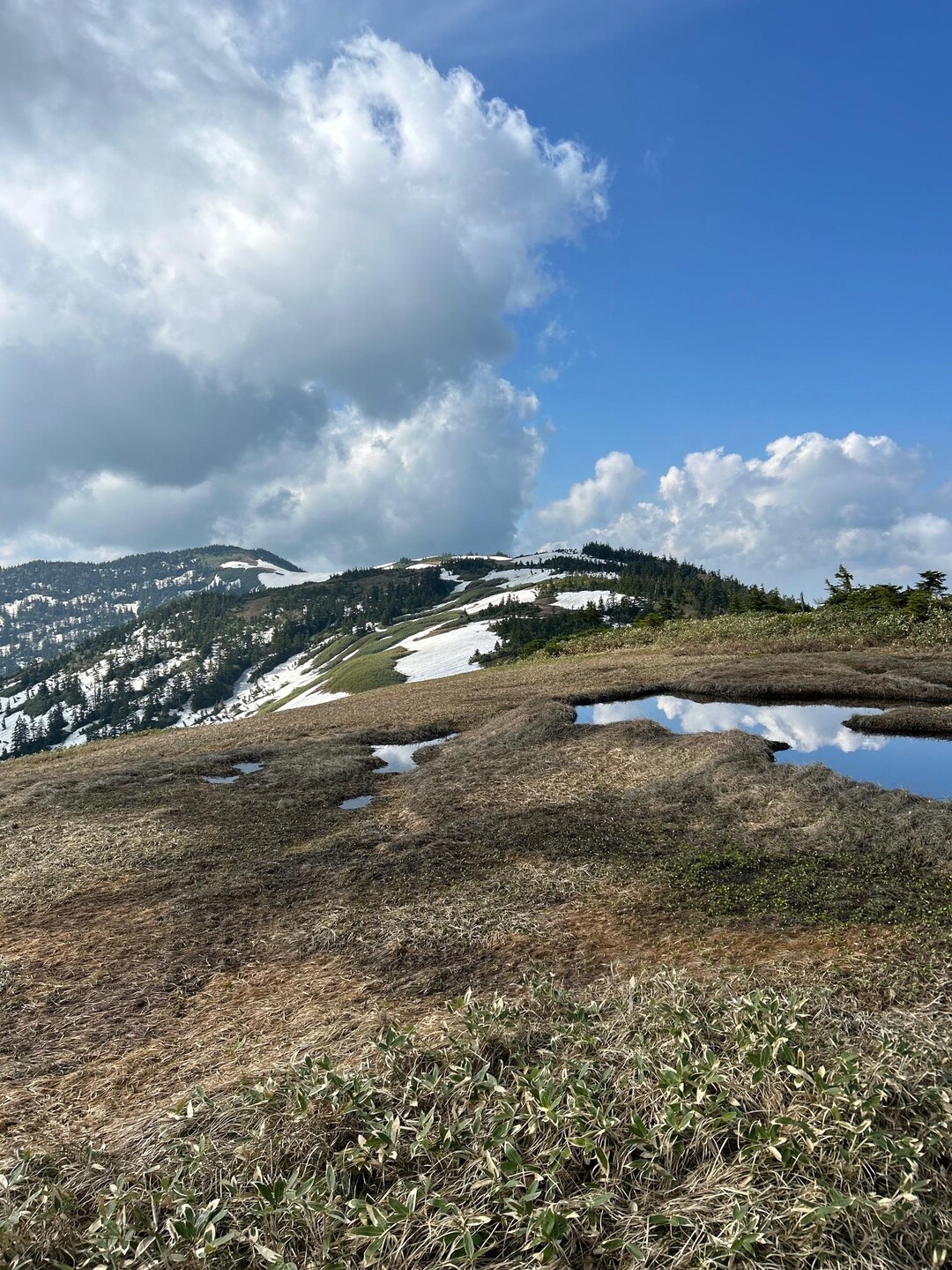 会津駒ヶ岳・中門岳 / Gucci Gucciさんの会津駒ヶ岳の活動データ | YAMAP / ヤマップ