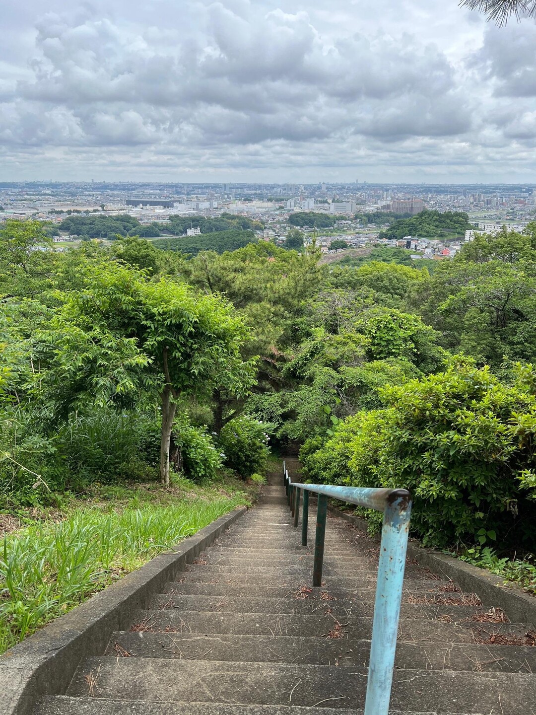 高松山（御幸山） / hzさんの大山の活動データ | YAMAP / ヤマップ