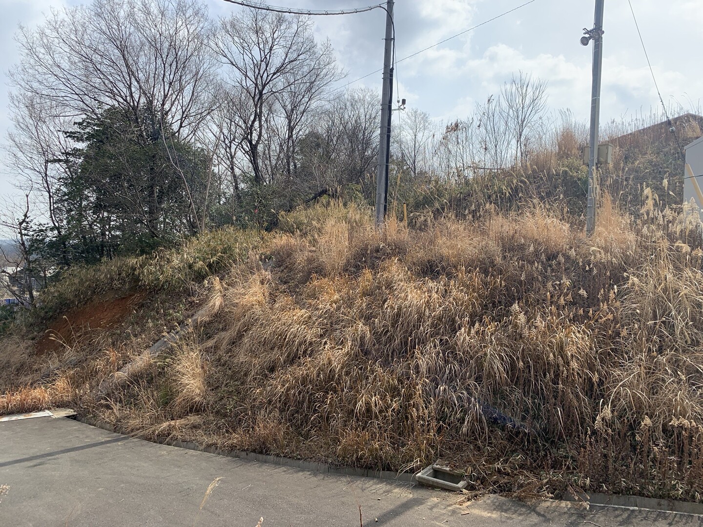 ktakuさんの投稿したフィールドメモ | YAMAP / ヤマップ