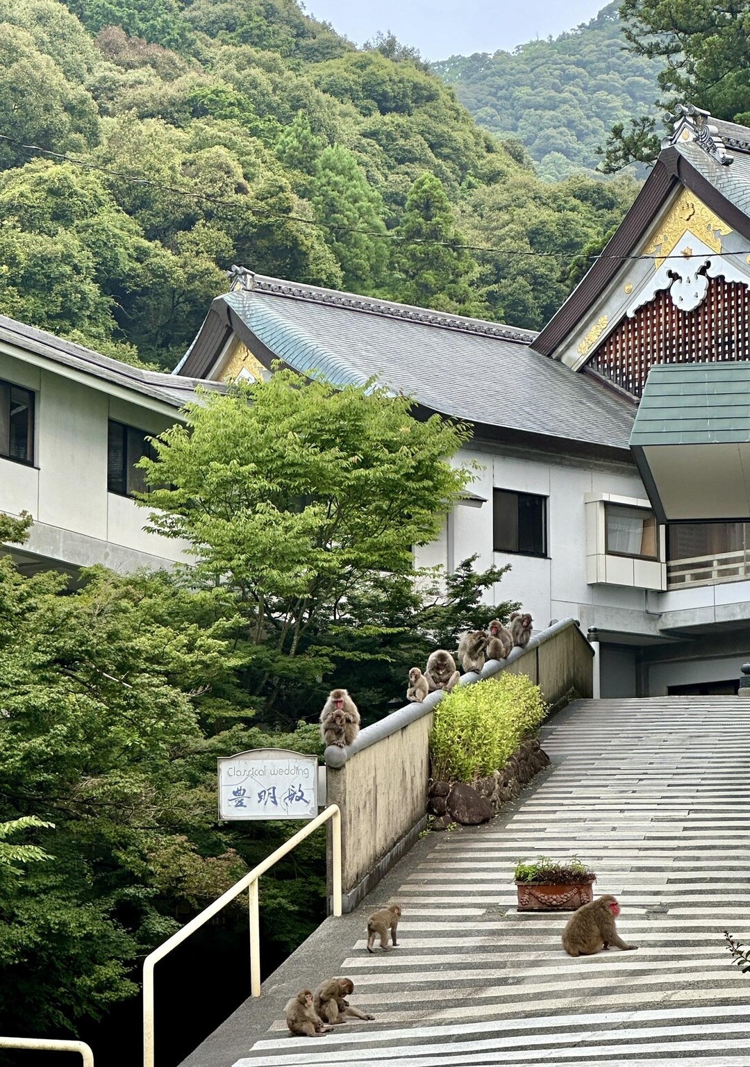 多度山 de 汗💦たらたらトレーニング R6 #16 / 🐑るんな꒰ᵕ⑅̆ᵕ꒱さんの多度山・美濃松山・石津御嶽の活動データ | YAMAP / ヤマップ