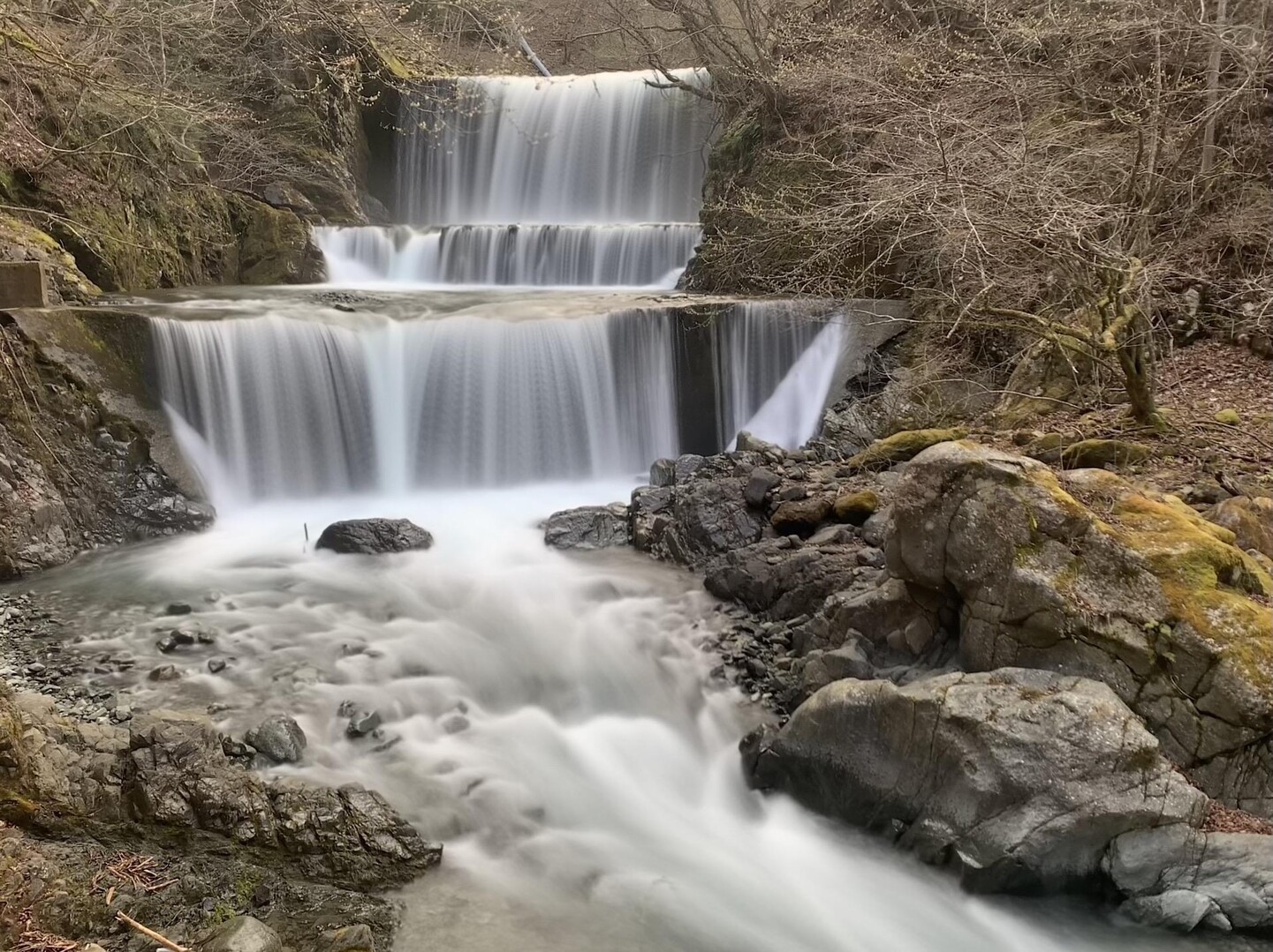 塩水橋から丹沢山へGO / soyさんの塔ノ岳・丹沢山・蛭ヶ岳の活動データ | YAMAP / ヤマップ