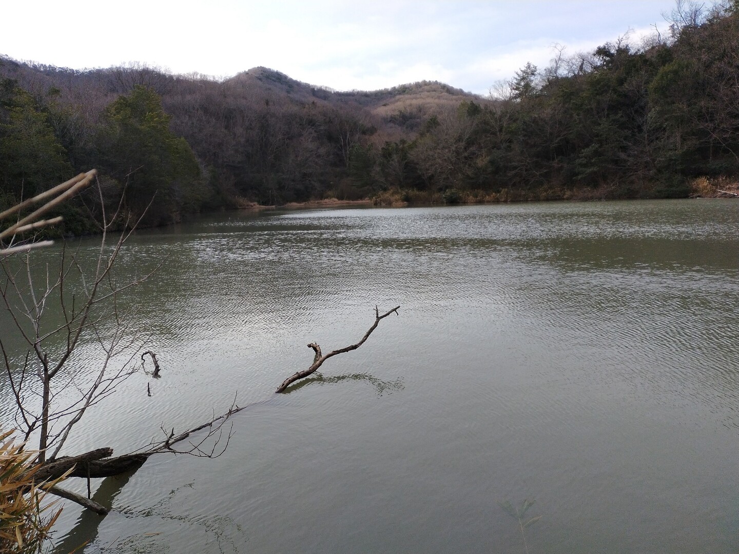 Kiyo_Ishiさんの投稿したフィールドメモ | YAMAP / ヤマップ