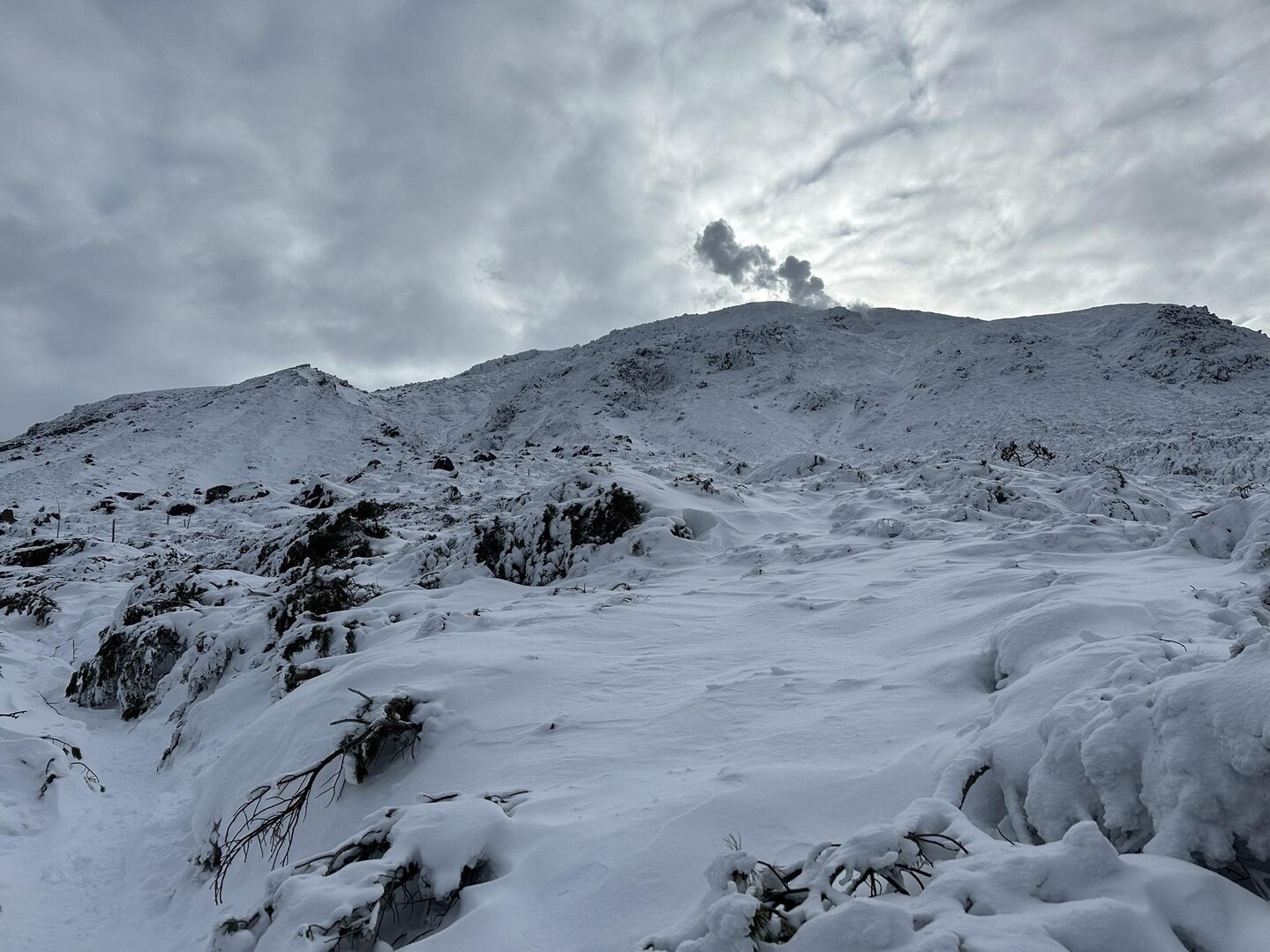 雌阿寒岳・阿寒富士 / masamituさんの雄阿寒岳の活動データ | YAMAP / ヤマップ