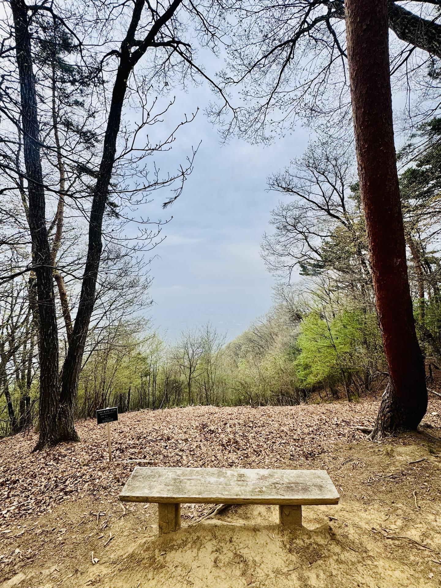 【山梨百名山】兜山 / amuさんの要害山・兜山・大蔵経寺山の活動データ | YAMAP / ヤマップ