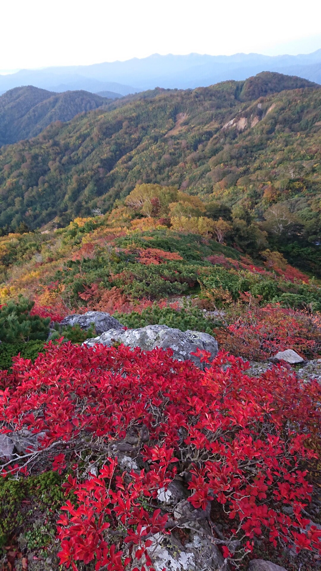 清川月山会 秋の登山🌰🍁 / アップルマンゴーさんの月山の活動日記 | YAMAP / ヤマップ