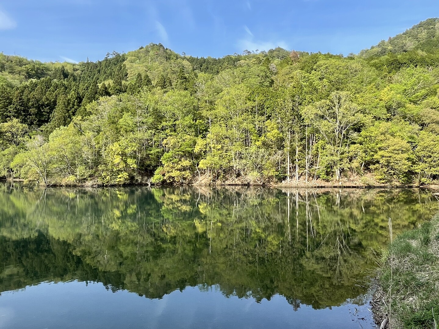 愛宕山 思いがけずに青もみじ / kazuomoさんの愛宕山の活動データ | YAMAP / ヤマップ