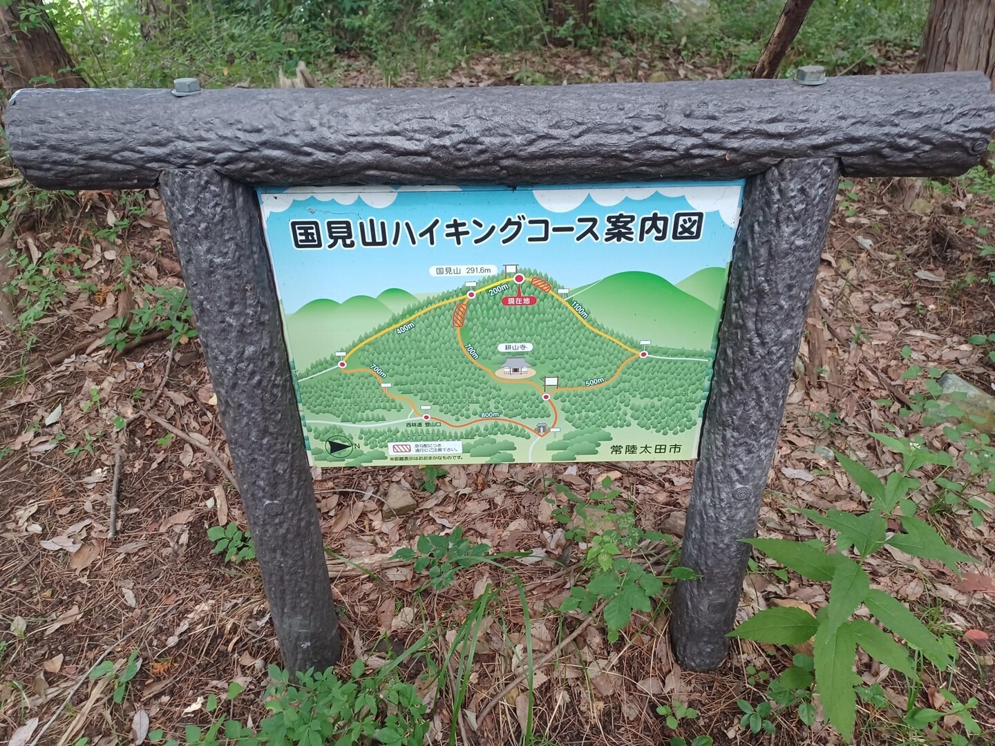 07-23 朝トレ国見山 / ADON さんの日立アルプストレイル・神峯山の活動データ | YAMAP / ヤマップ