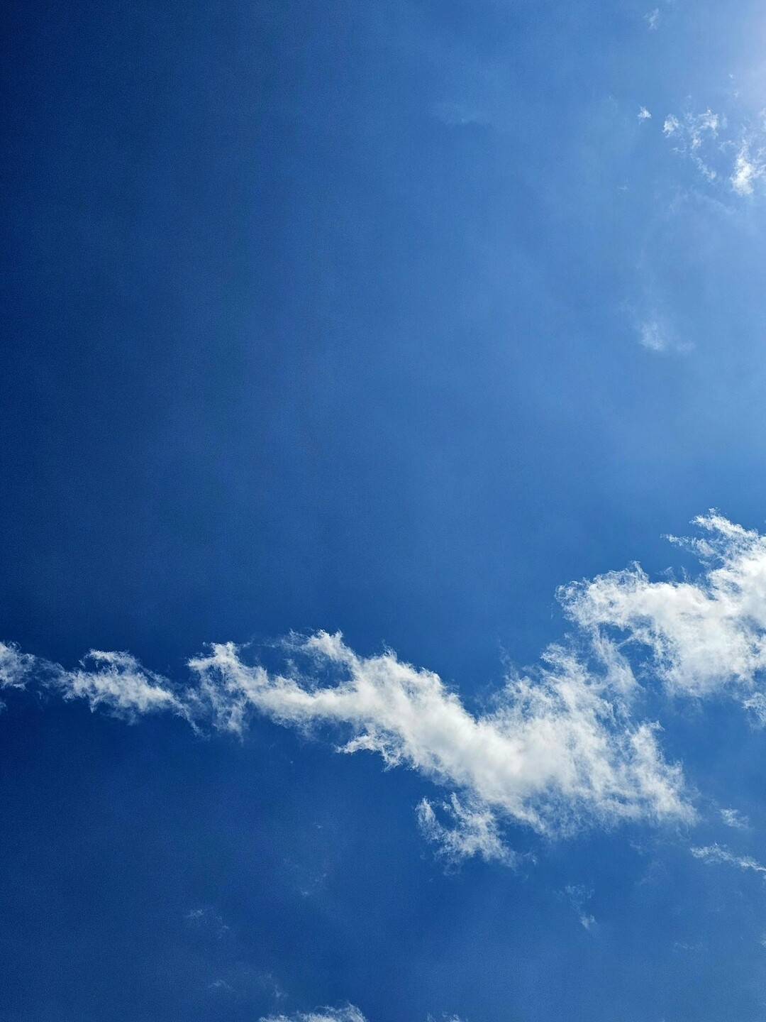 今日は、南砺市イオックスアローザで開かれ... / satomiさんのモーメント | YAMAP / ヤマップ