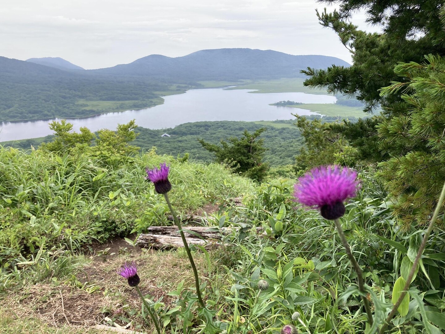 雄国山へGO / べっちさんの磐梯山・雄国山・赤埴山の活動データ | YAMAP / ヤマップ