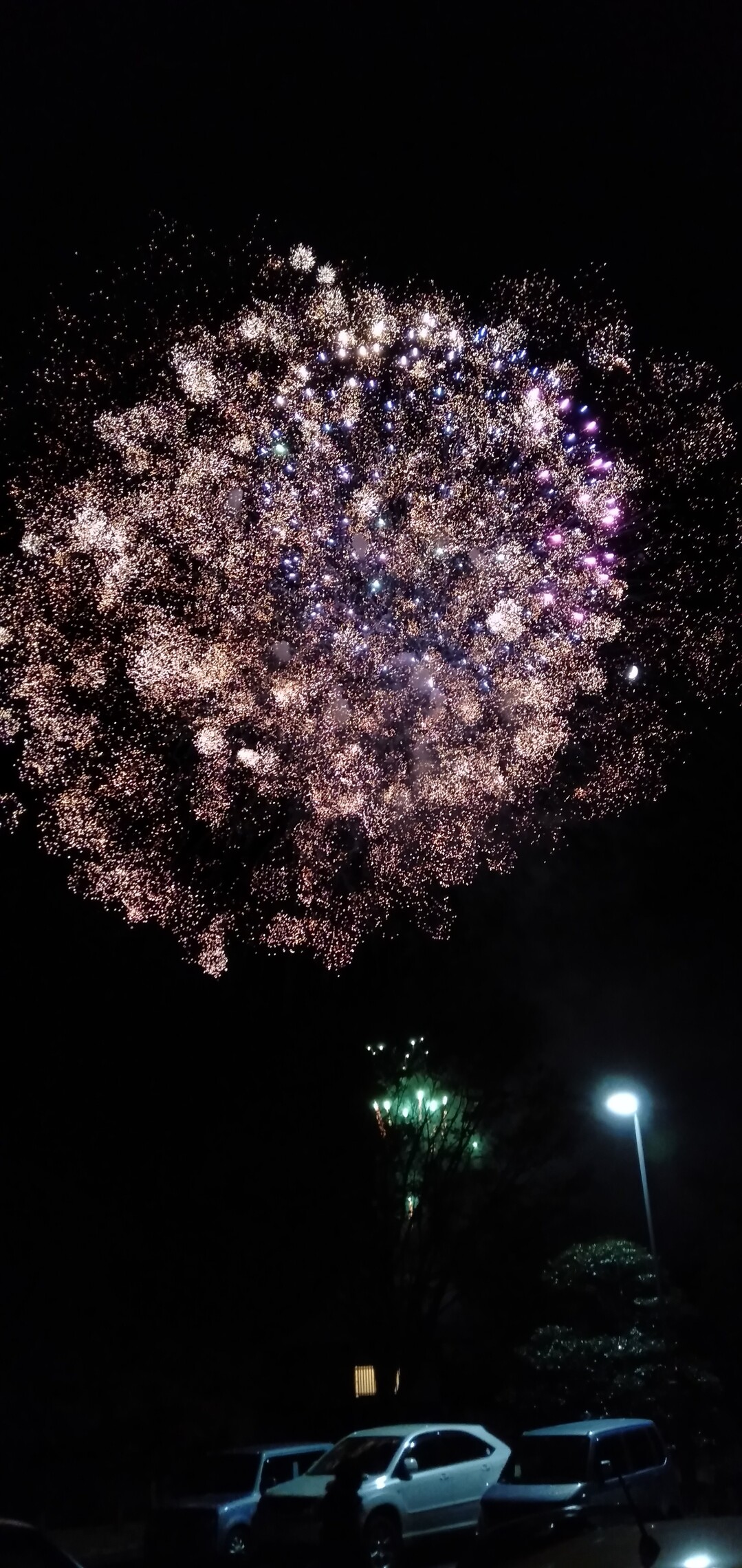 偕楽園で花火上がってるー！ 今年初めて観... / kei21さんのモーメント | YAMAP / ヤマップ