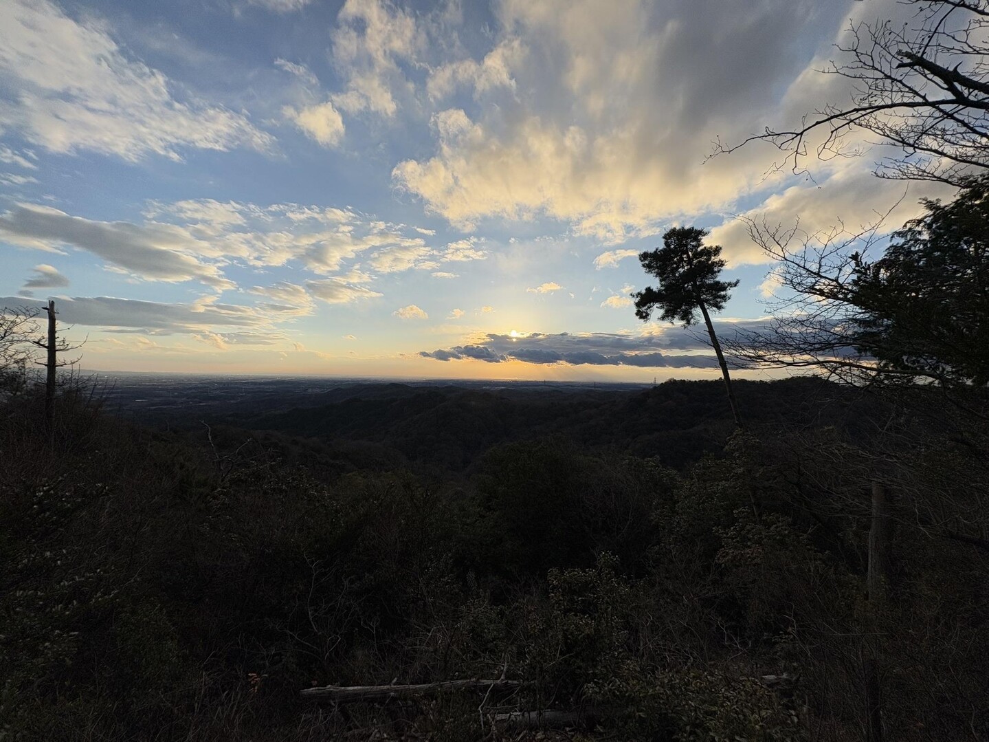 加納山・猿投山・城ヶ峰 / aspiさんの猿投山・物見山の活動データ | YAMAP / ヤマップ