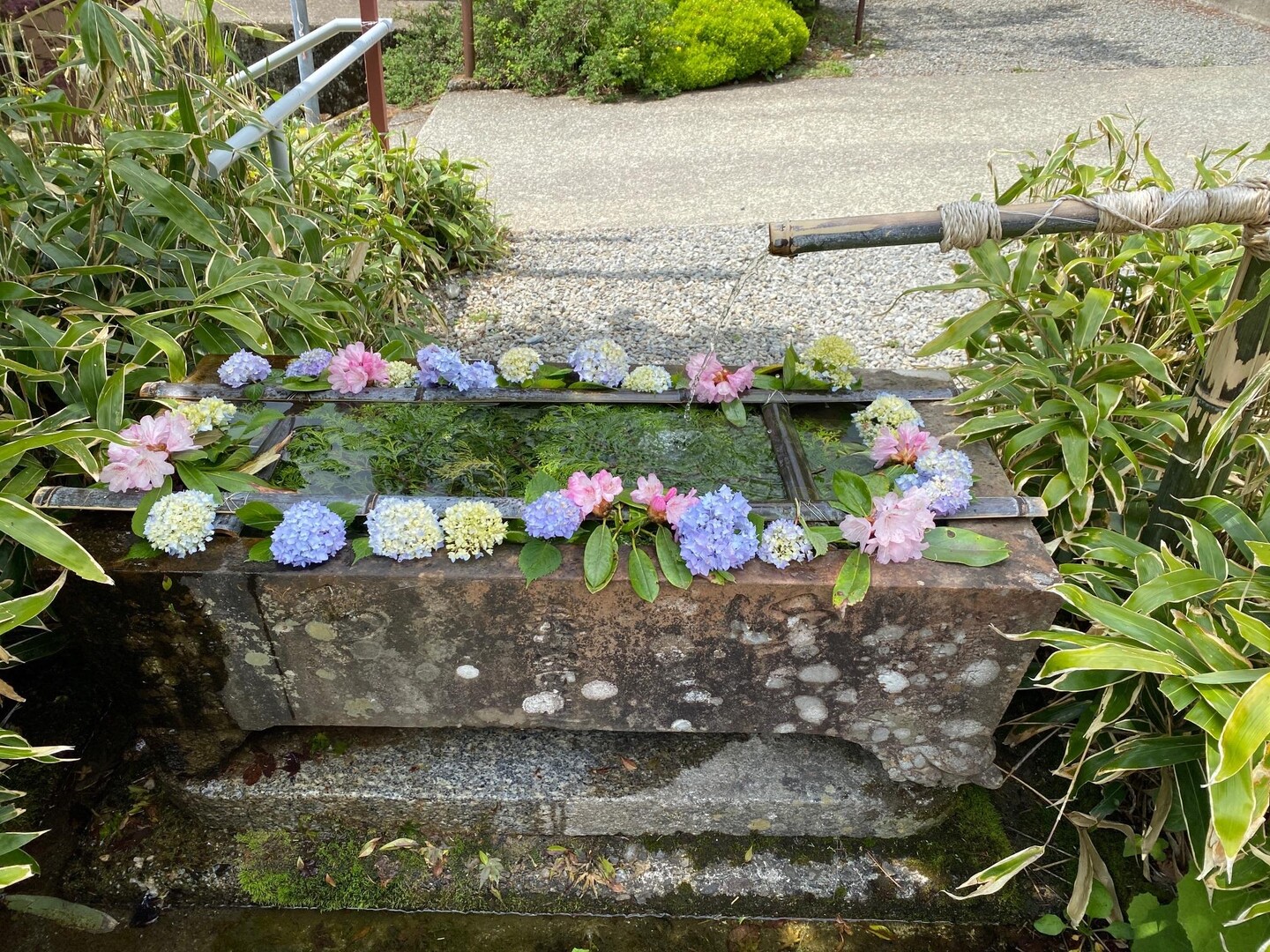 剣山・次郎笈 / red-pさんの剣山の活動データ | YAMAP / ヤマップ