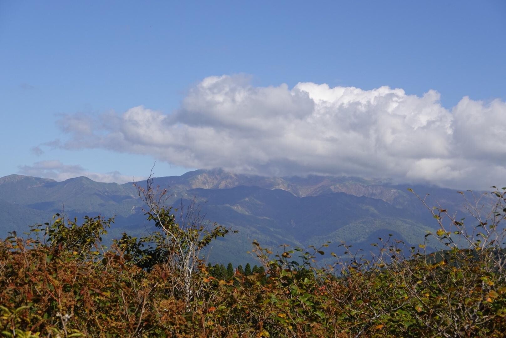 すってん💨こつぶり山・取立山 / mag.hさんの取立山の活動データ | YAMAP / ヤマップ