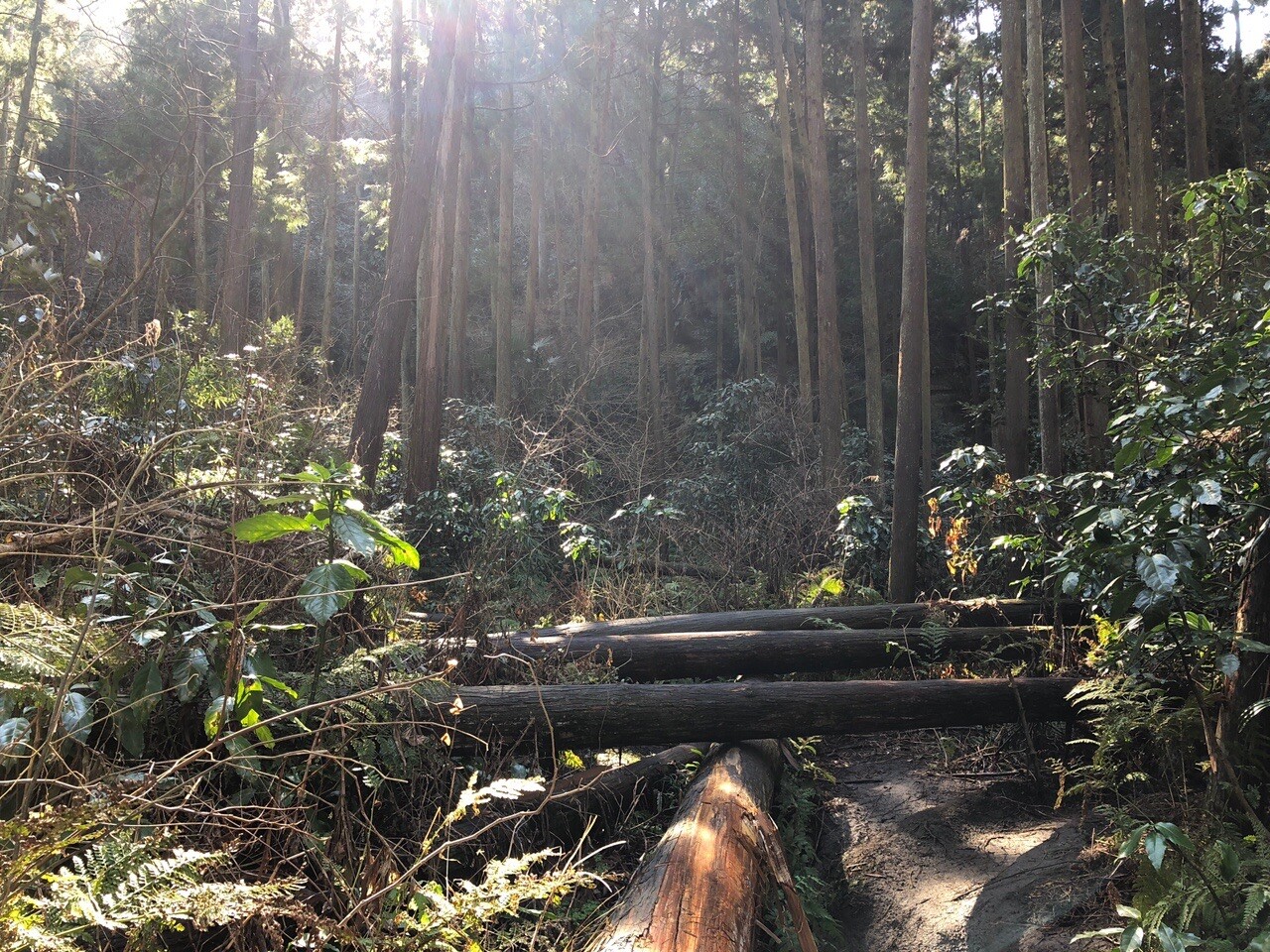 kimiさんの投稿したフィールドメモ | YAMAP / ヤマップ