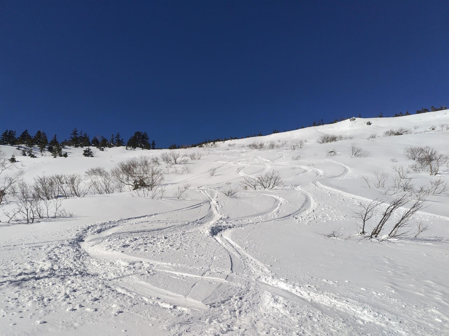 神楽ヶ峰B.C / ひろさんのかぐらスキー場の活動データ | YAMAP / ヤマップ