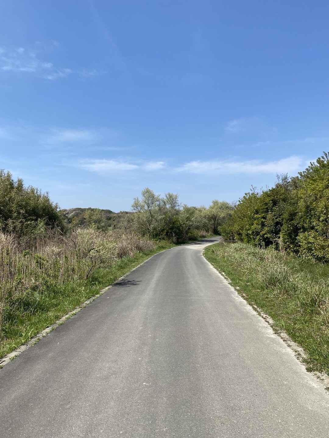 大楠山 / tomokoさんの大楠山・武山・三浦富士の活動データ | YAMAP / ヤマップ
