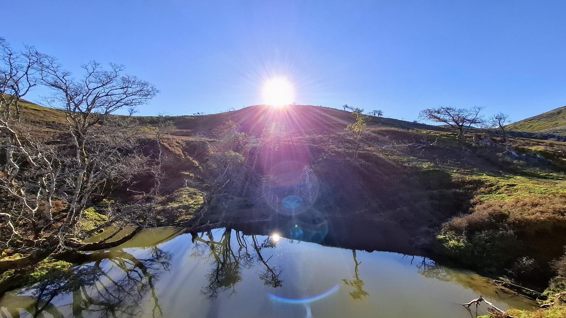 経塚山・霊仙山・霊仙山最高点・谷山・南霊岳 / tatuさんの霊仙山の活動データ | YAMAP / ヤマップ