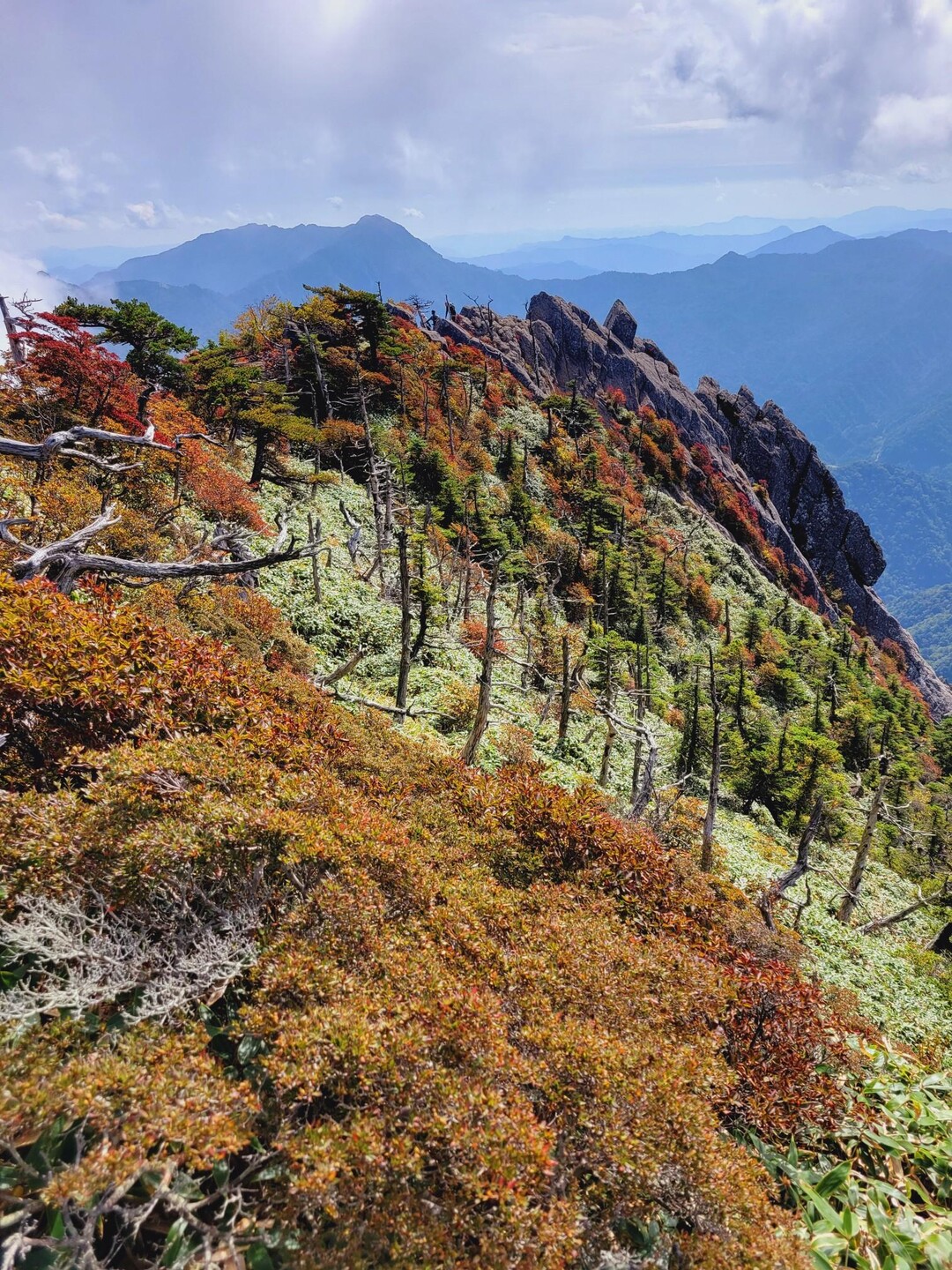石鎚山・天狗岳・南尖峰は裏切らず🍁 / shigeyoさんの石鎚山・堂ヶ森・二ノ森の活動データ | YAMAP / ヤマップ