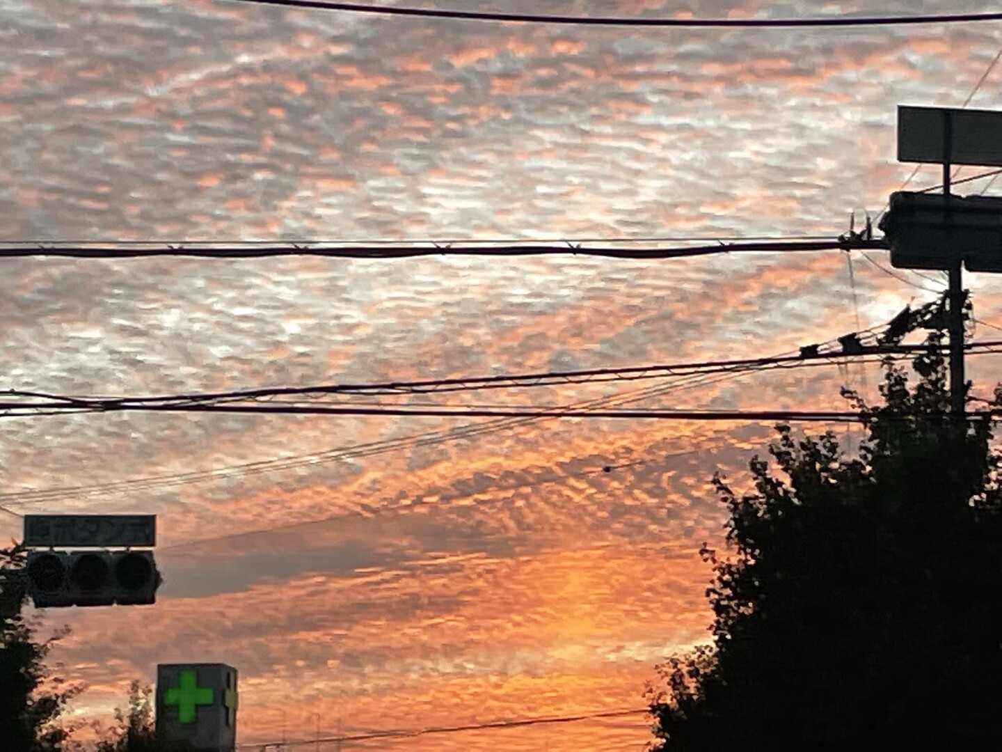 2022.10.21(金) 00:40 / くろくろさんのモーメント | YAMAP / ヤマップ