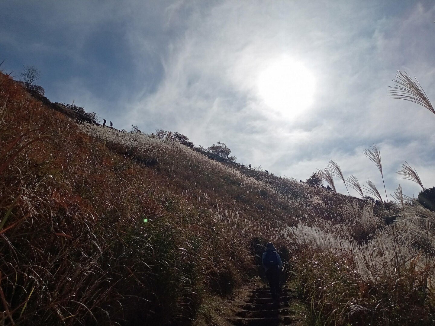 2023.11.04(土) 06:47 / 08さんのモーメント | YAMAP / ヤマップ