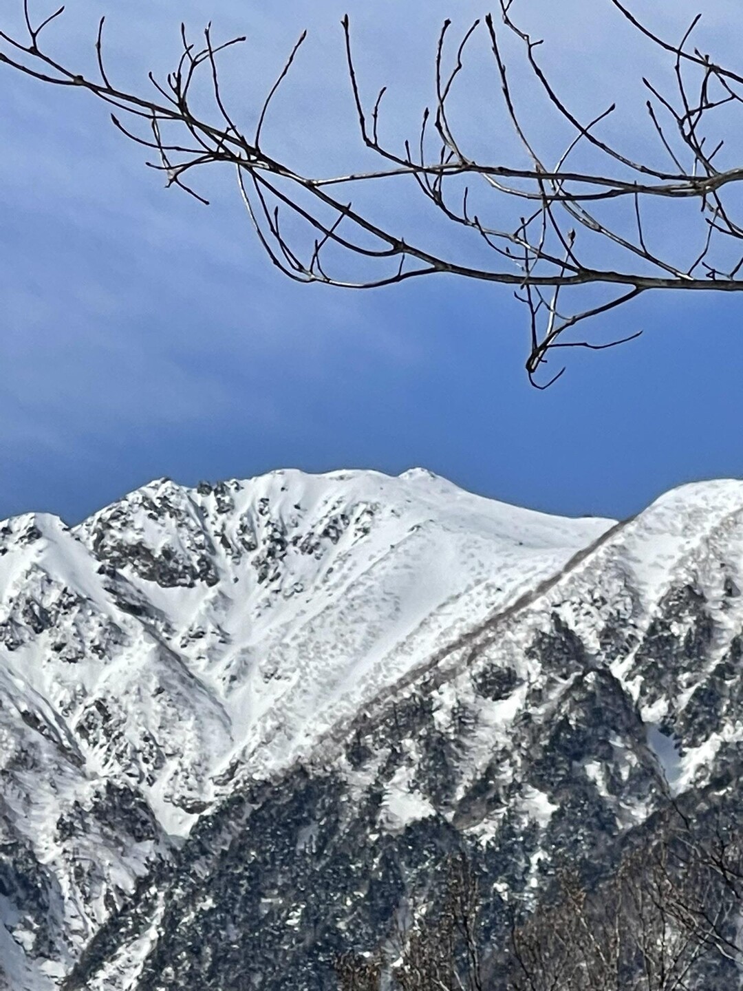 傘山 / ANZUNUKOさんの傘山の活動データ | YAMAP / ヤマップ
